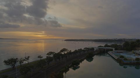 Drone Footage of Tamaki Drive at dawn New Zealand